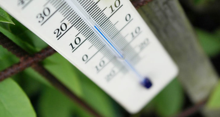 What’s the Ideal Hive Inspection Temperature? | Beekeeping Insider