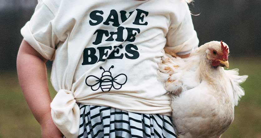 Will Chickens Eat Your Honey Bees? (Surprising Truth!) | Beekeeping Insider